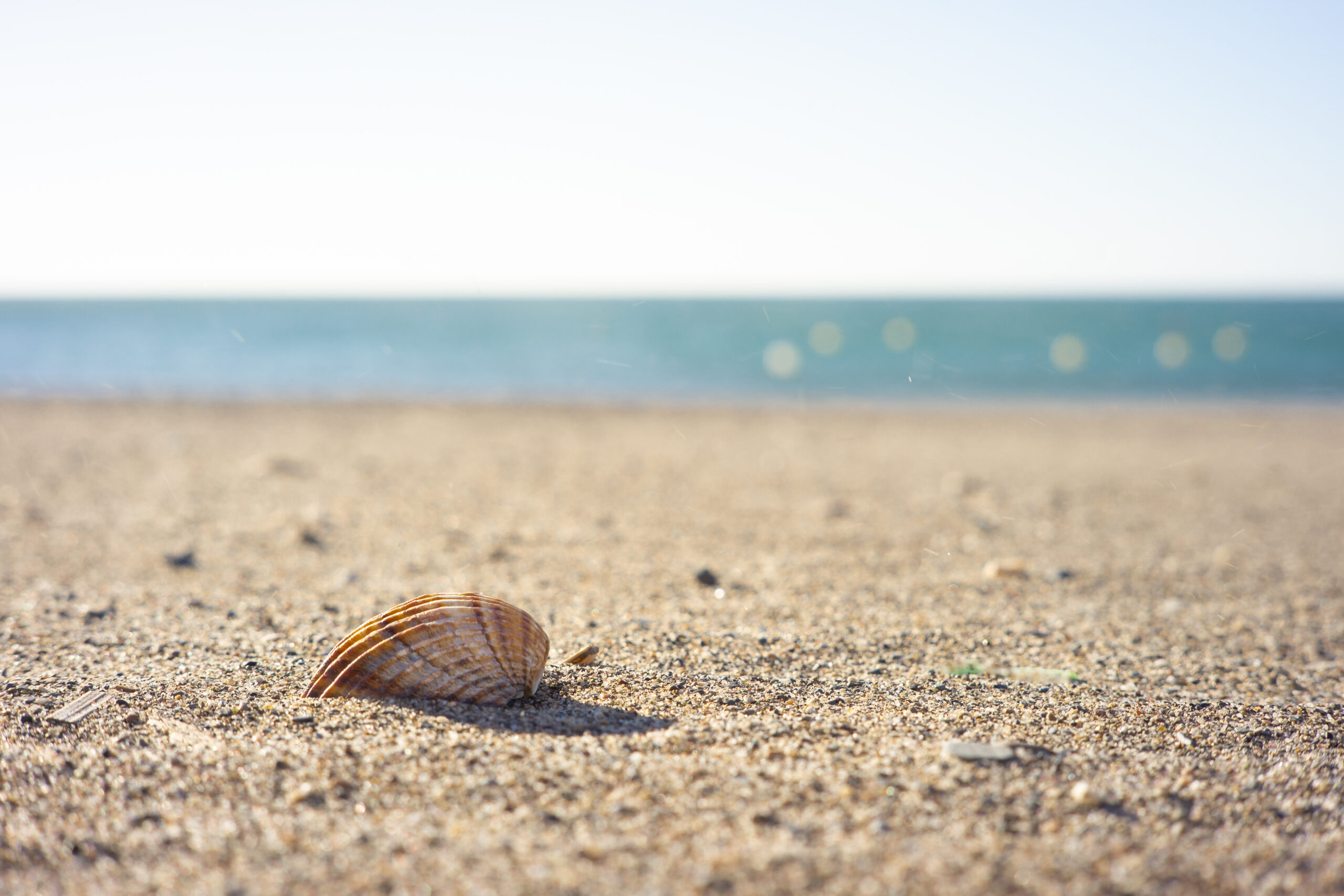 Book your apartment at the Costa del Sol now - Chill Out Spain